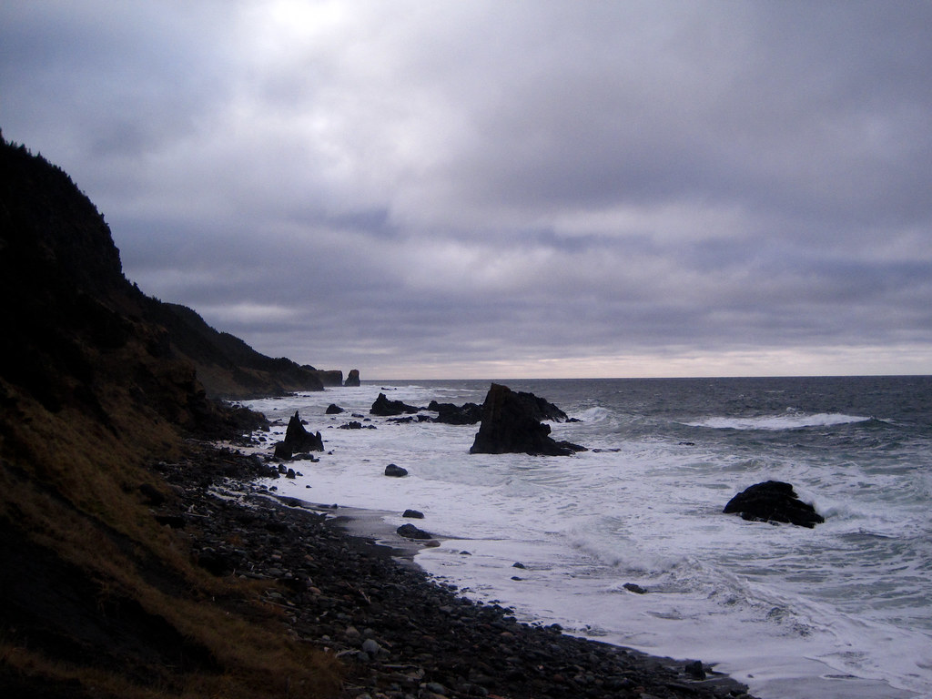 4 Tips To Celebrate World Ocean Day Every Day