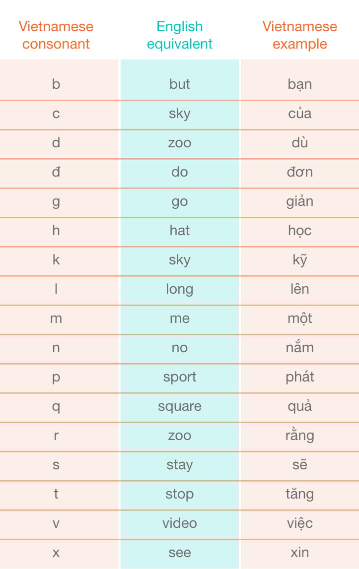 Tiếng Việt for Beginners: An In-Depth Overview of the Vietnamese ...